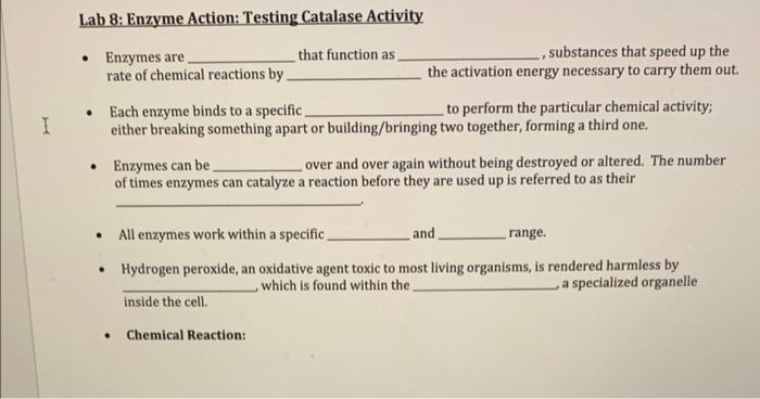 Solved Lab 8: Enzyme Action: Testing Catalase Activity that | Chegg.com