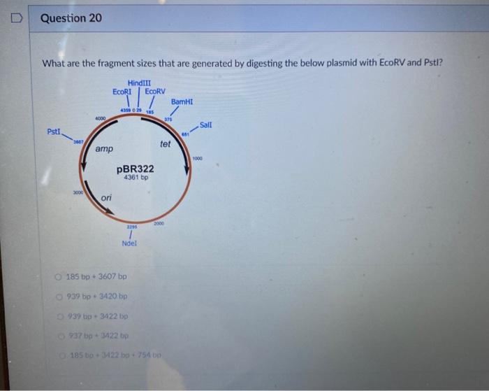 Solved What are the fragment sizes that are generated by | Chegg.com