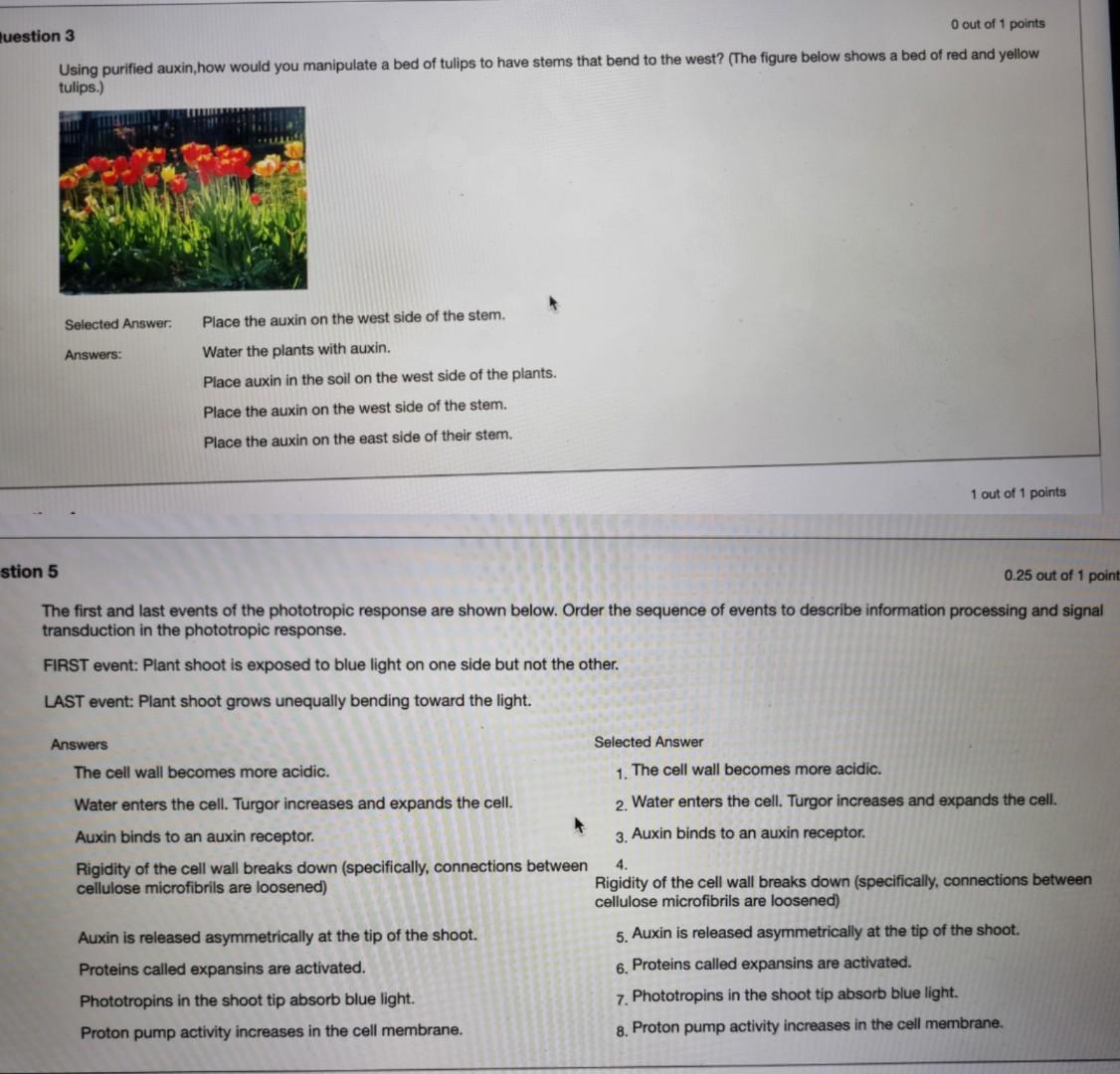 Solved Question 1 O out of 1 points In a plant that is | Chegg.com