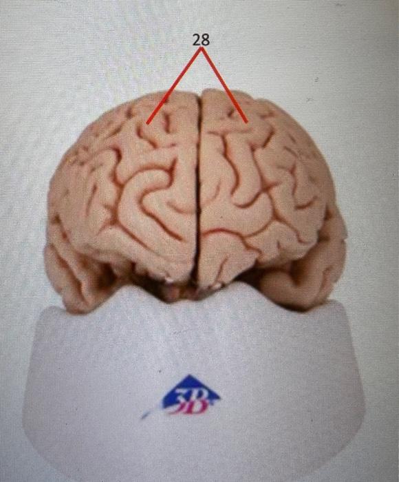 Solved help me identify arrows | Chegg.com Solved help me identify arrows | Chegg.com