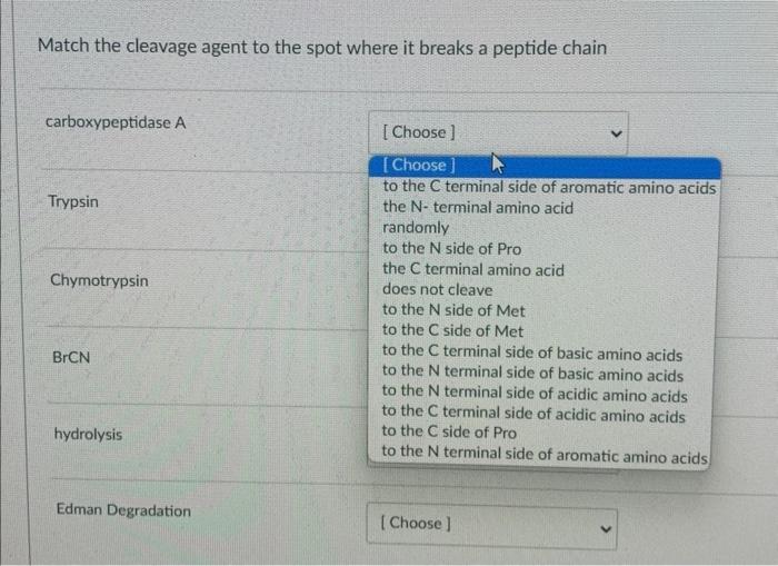 Solved Match the cleavage agent to the spot where it breaks | Chegg.com