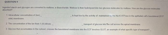 Solved Ingested starch and ghycogen are conveited to | Chegg.com