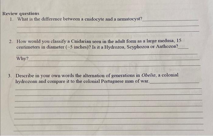 Solved Observe a prepared slide of Obelia using the low | Chegg.com