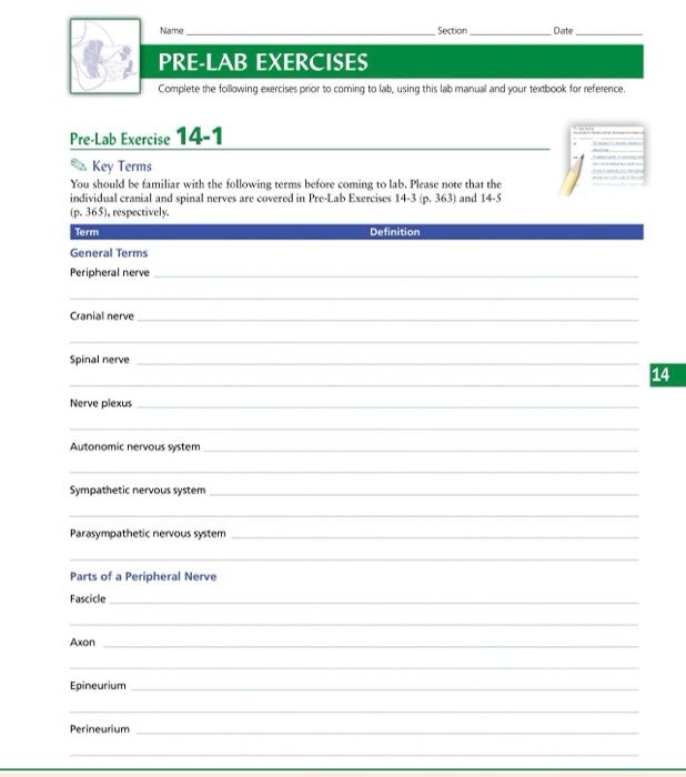 Solved Section Date Name PRE-LAB EXERCISES Complete the | Chegg.com
