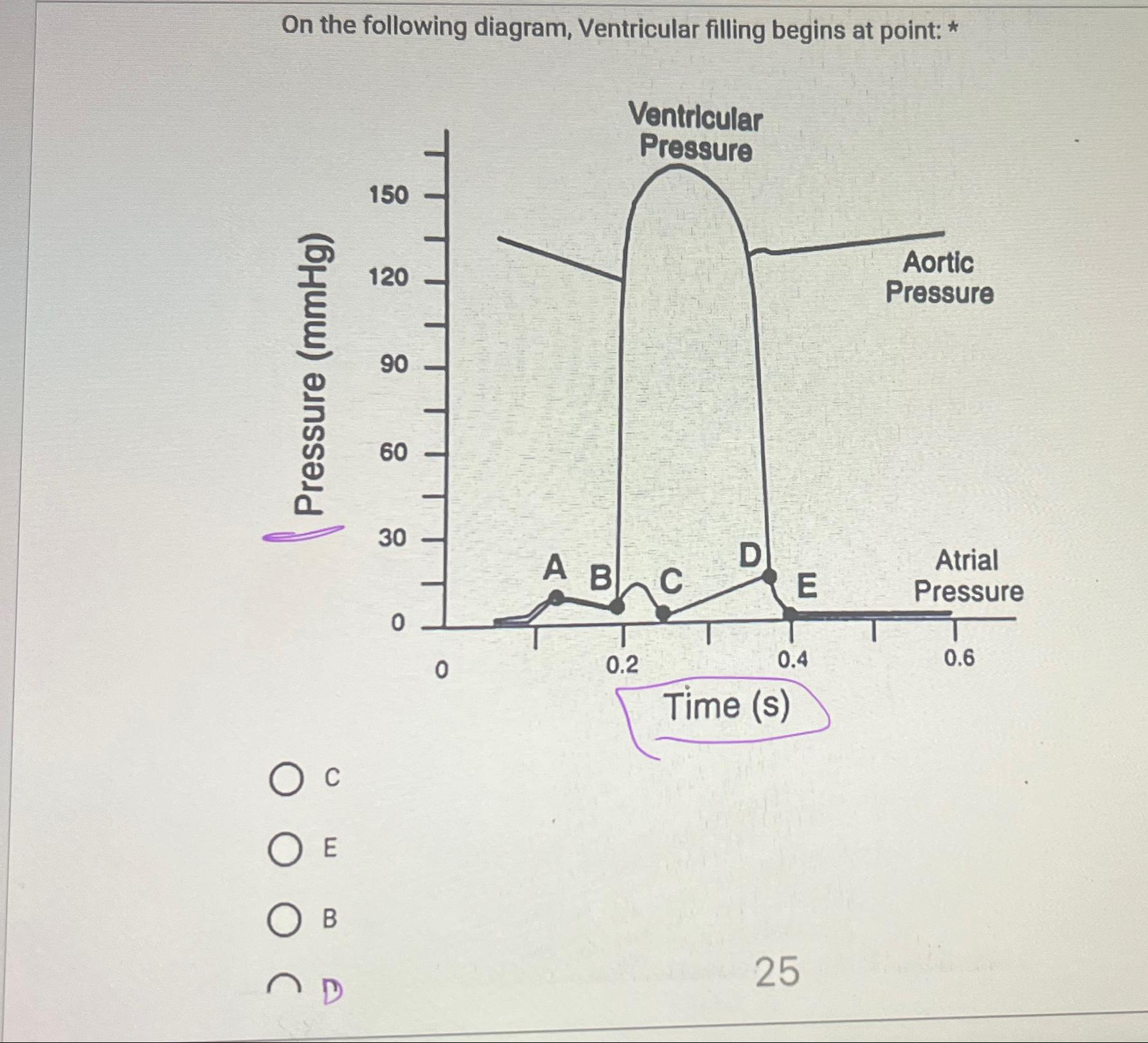 Solved On the following diagram, Ventricular filling begins | Chegg.com