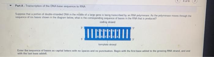 Solved Part A Transcription of the DNA base sequence to RNA | Chegg.com