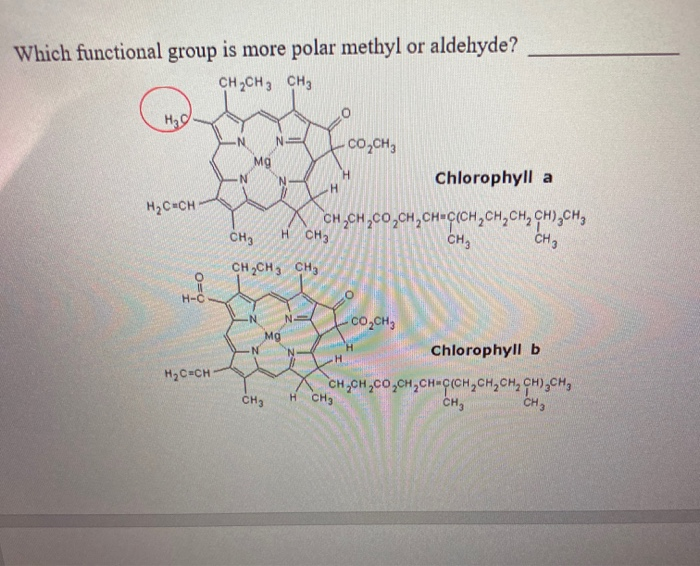 Solved Which functional group is more polar methyl or | Chegg.com