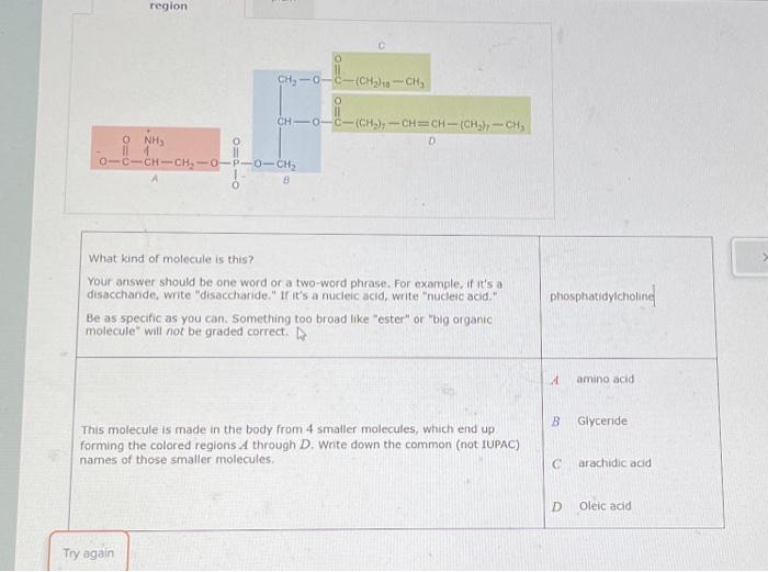 Solved Take a look at the following molecule, and then | Chegg.com