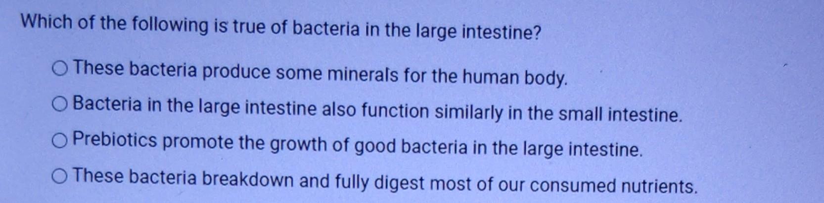 Solved Which of the following is true of bacteria in the | Chegg.com