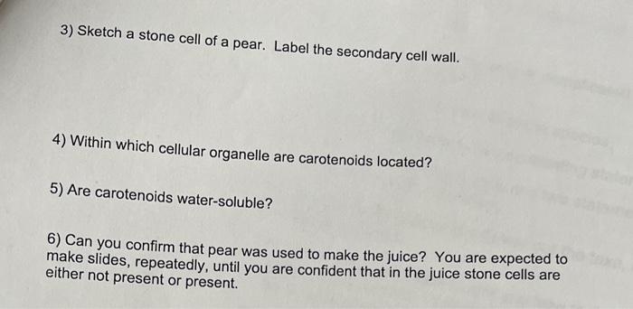 Solved 3) Sketch a stone cell of a pear. Label the secondary | Chegg.com