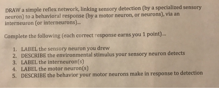 Solved DRAW a simple reflex network, linking sensory | Chegg.com