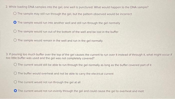 Solved 2. While loading DNA samples into the gel, one well | Chegg.com