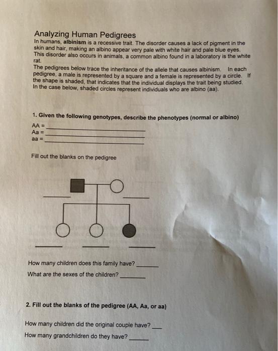 Solved Analyzing Human Pedigrees In humans, albinism is a | Chegg.com