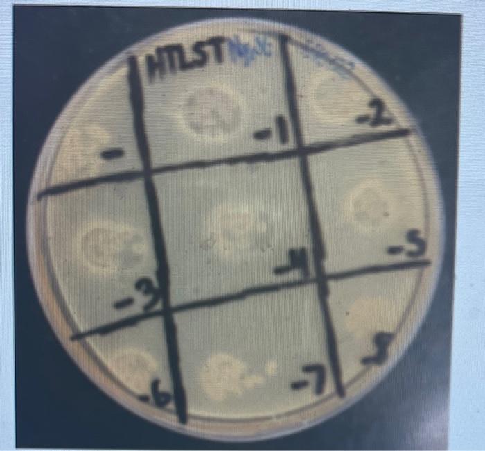 Solved You complete a titer spot test on your purified phage | Chegg.com