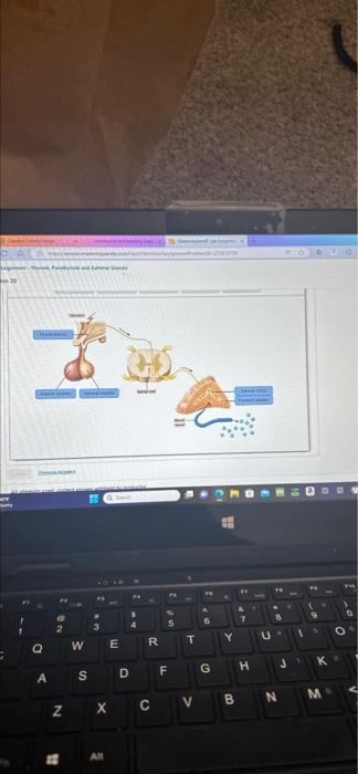 Solved label correctly | Chegg.com