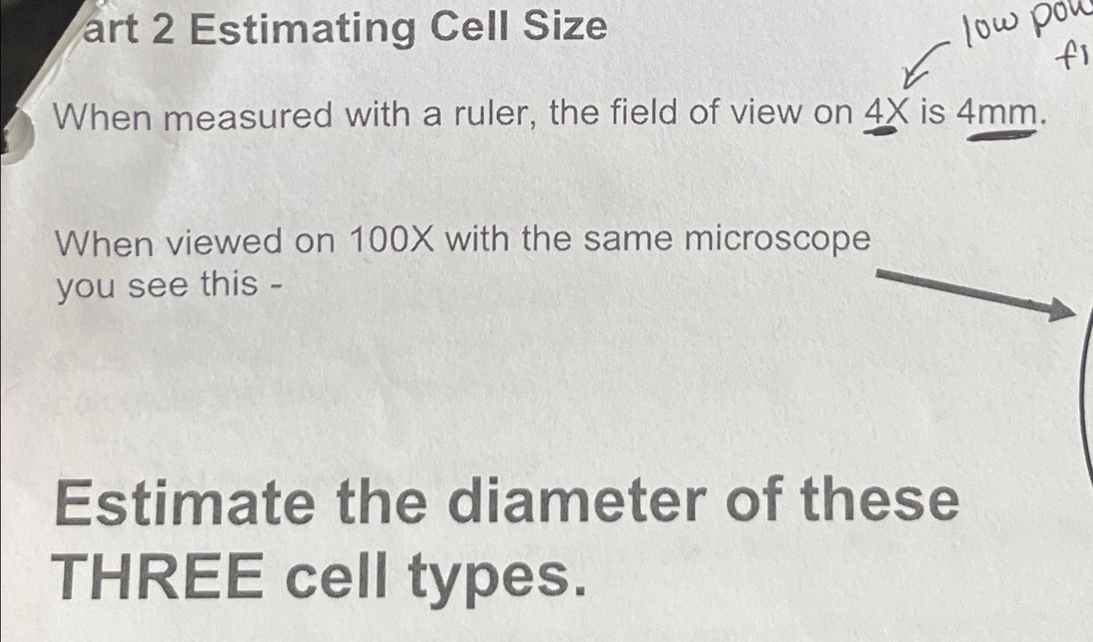 Solved art 2 ﻿Estimating Cell SizeWhen measured with a | Chegg.com