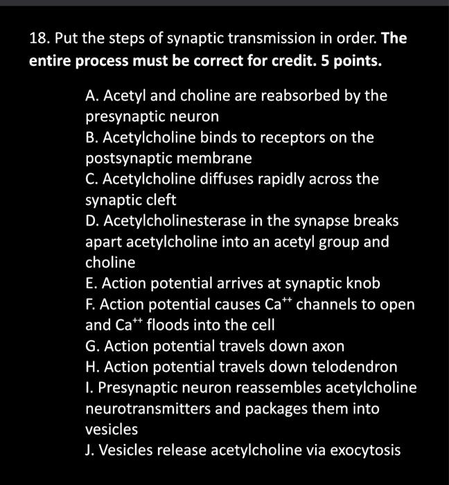 18. Put the steps of synaptic transmission in order. | Chegg.com