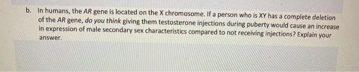 Solved b. In humans, the AR gene is located on the X | Chegg.com