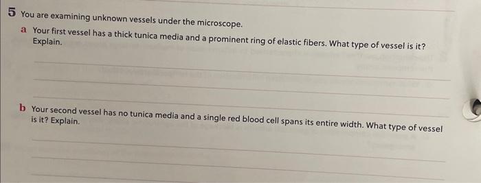 Solved You are examining unknown vessels under the | Chegg.com