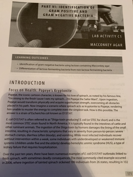 PART VI: IDENTIFICATION OF GRAM POSITIVE AND GRAM | Chegg.com