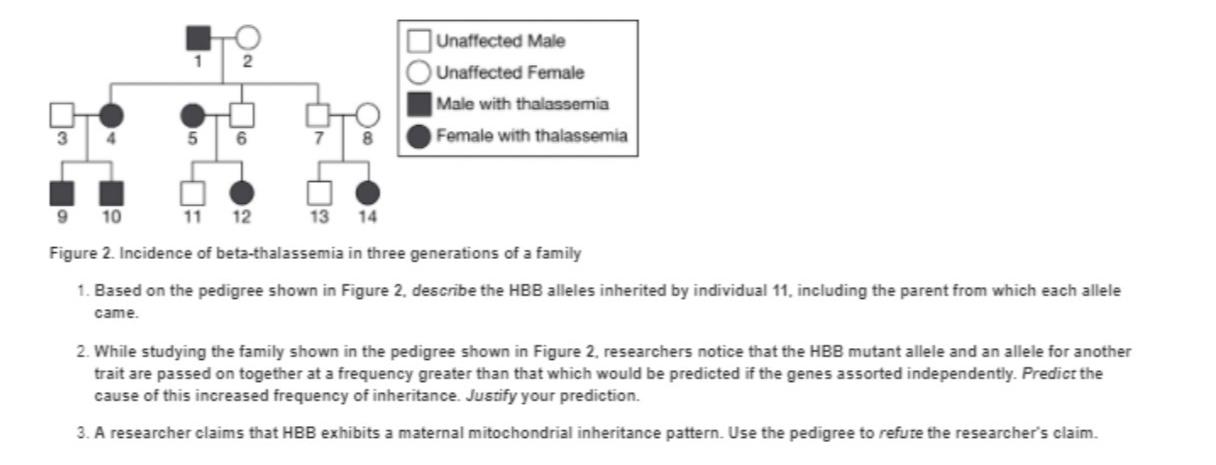 Solved Based on the pedigree shown in Figure 2, ﻿describe | Chegg.com