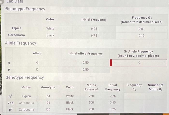 Solved Is this the correct allele frequency? Environment: | Chegg.com