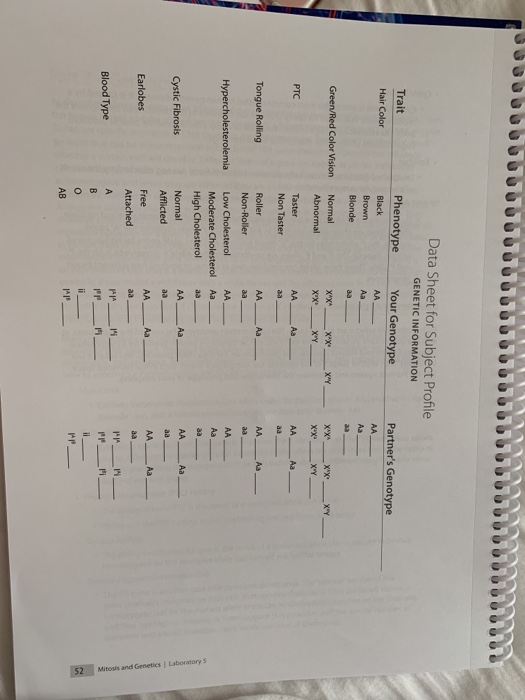 Solved Y T K 2 R J 1 E Н. HAIR COLOR Genotypes Phenotype 257 | Chegg.com