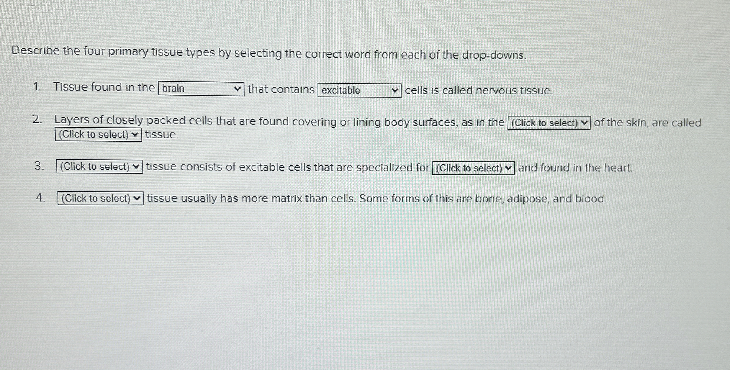 Solved Describe the four primary tissue types by selecting | Chegg.com