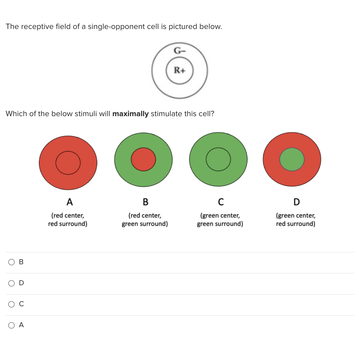 Solved The Receptive Field Of A Single Opponent Cell Is