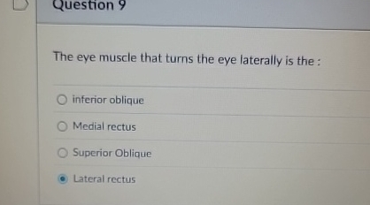 Solved The eye muscle that turns the eye laterally is the | Chegg.com