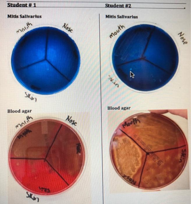 split in half cor student 1 and student 2 and fill | Chegg.com
