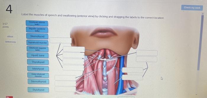 Solved Check my world 4 Label the muscles of speech and | Chegg.com