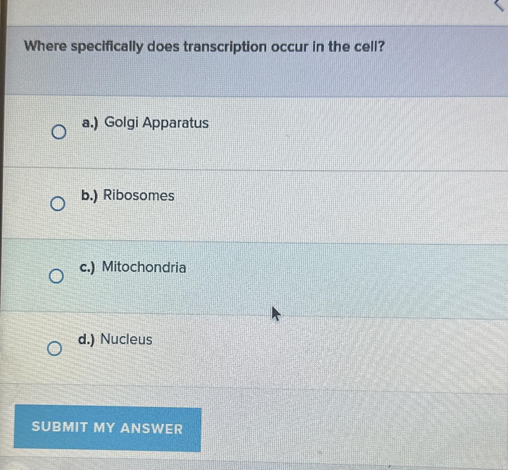 Solved Where specifically does transcription occur in the | Chegg.com