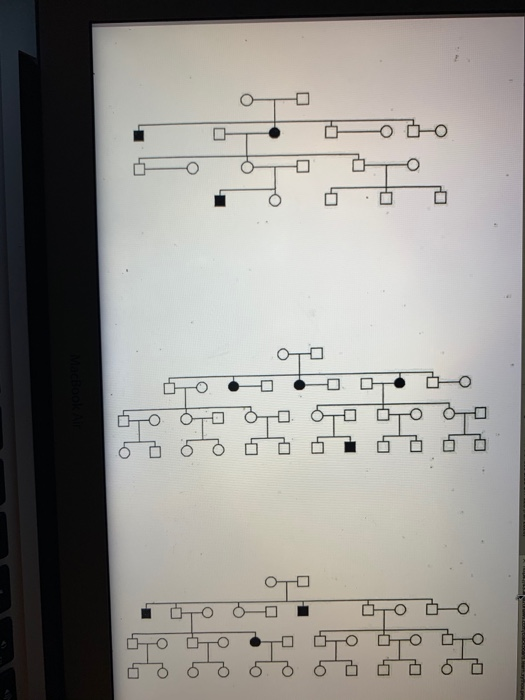 Solved write genotypes on the pedigree sheet using allele | Chegg.com