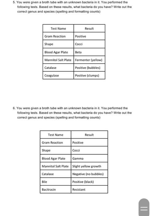 Solved 1. Streptococcus pyogenes is the bacteria that causes | Chegg.com