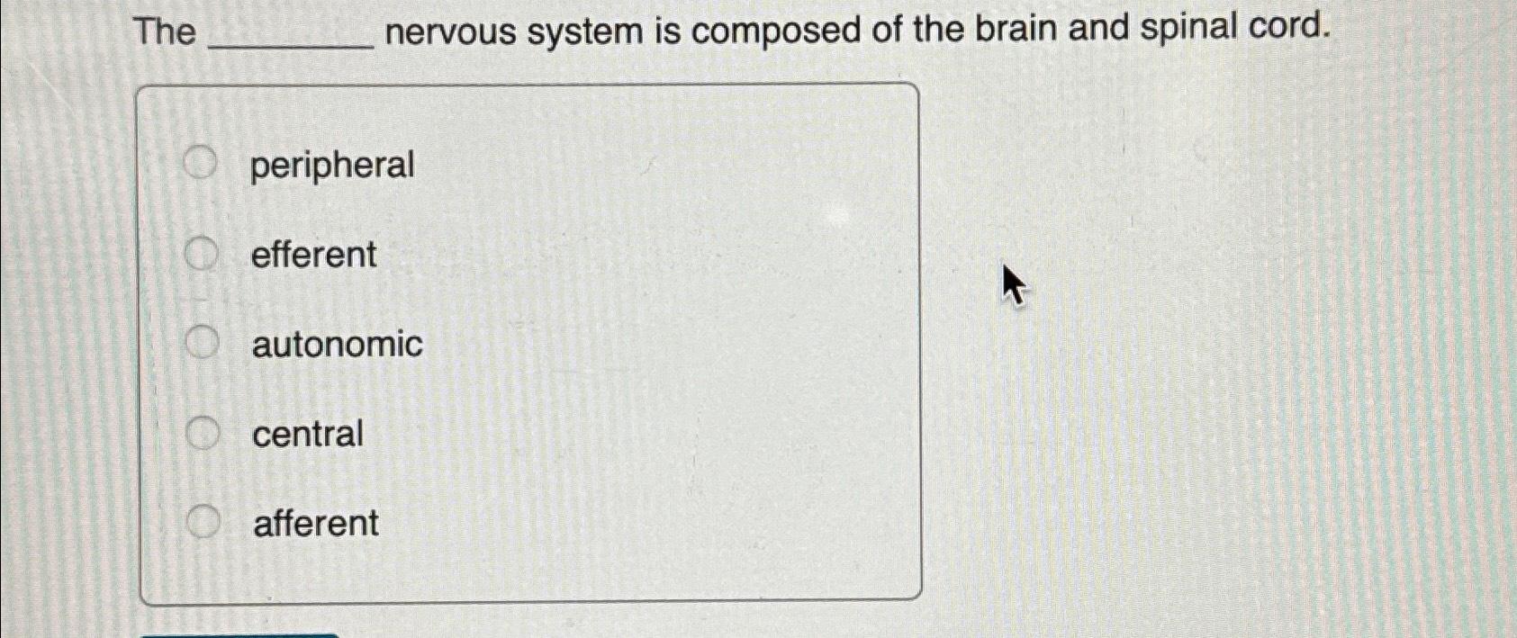 Solved The nervous system is composed of the brain and | Chegg.com