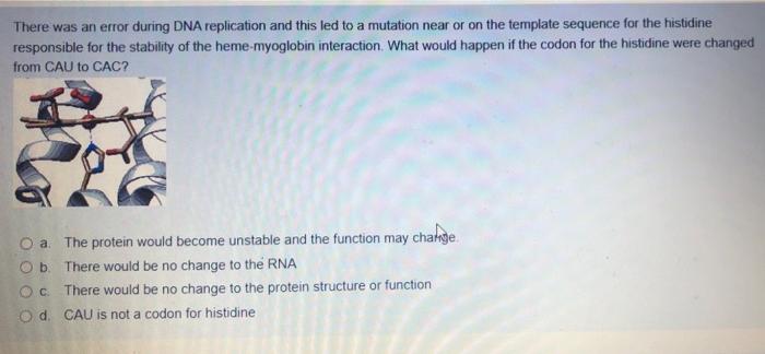 Solved There was an error during DNA replication and this | Chegg.com