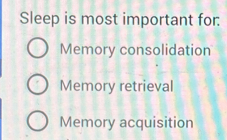 Solved Sleep is most important for: ﻿Memory | Chegg.com