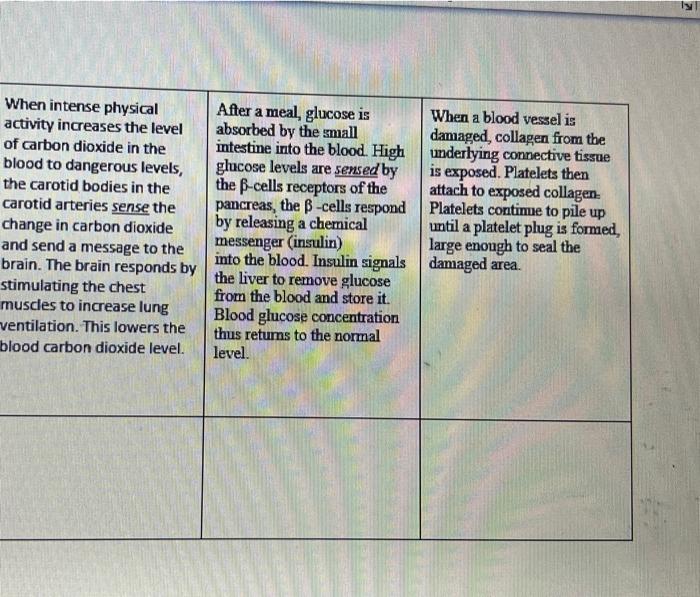 Solved When intense physical activity increases the level of | Chegg.com