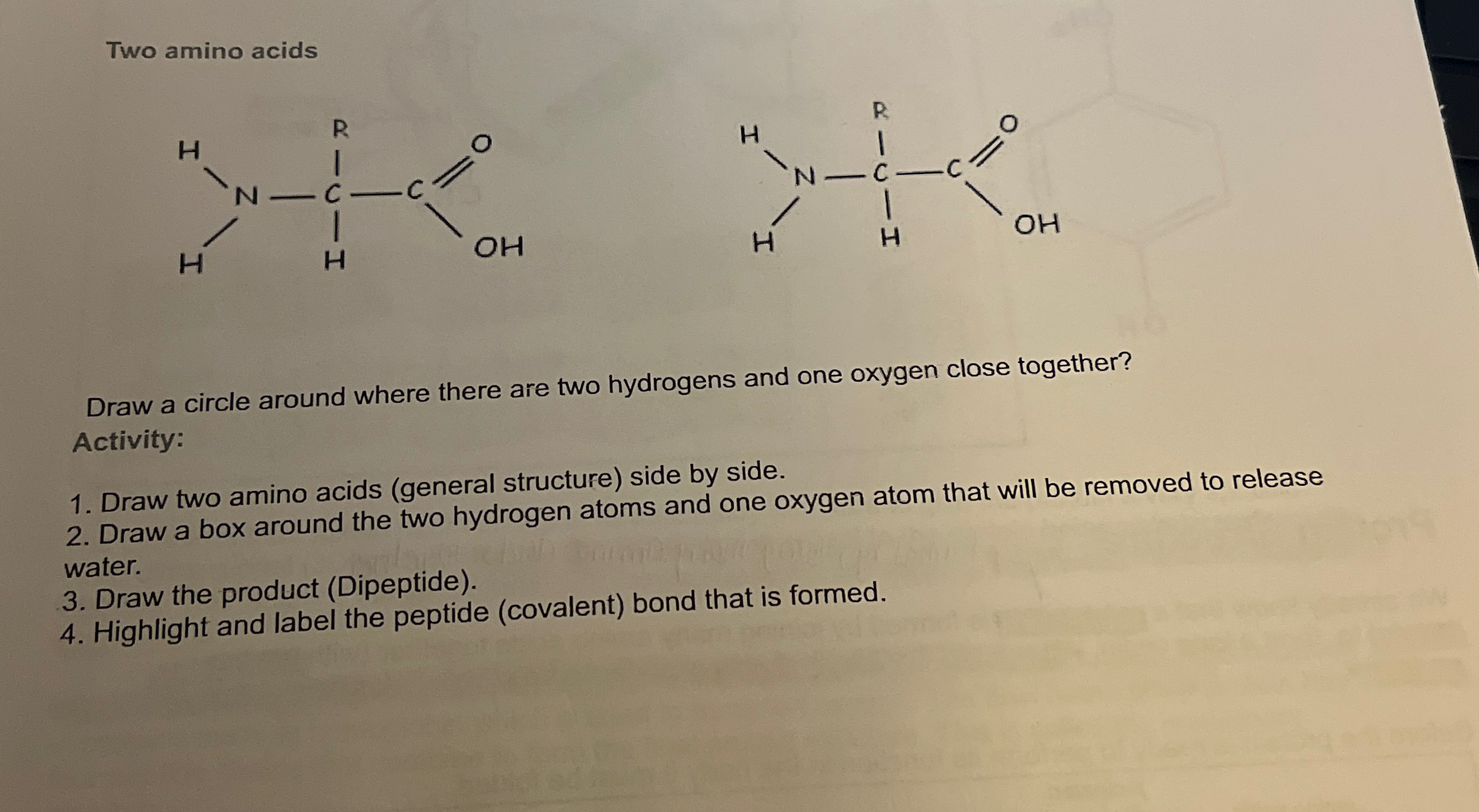 Solved Two amino acidsDraw a circle around where there are | Chegg.com