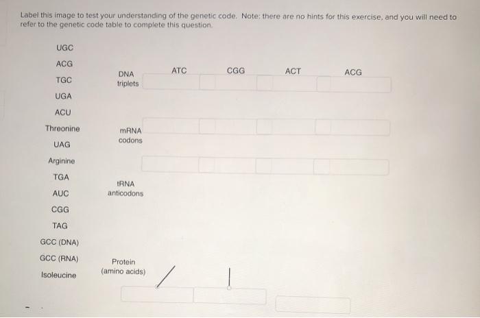 Solved Label this image to test your understanding of the | Chegg.com