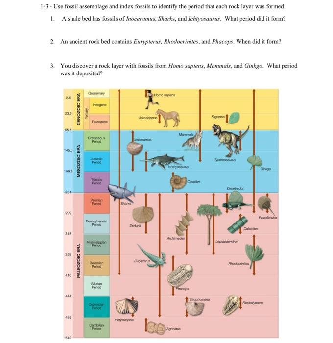 Solved 1-3 - Use fossil assemblage and index fossils to | Chegg.com