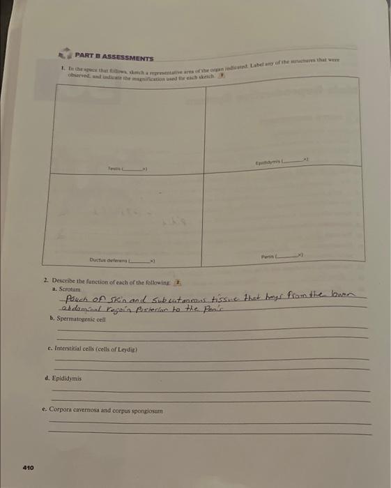 Solved PART B AS5ESSMENTS 2. Describe the funetion of each | Chegg.com