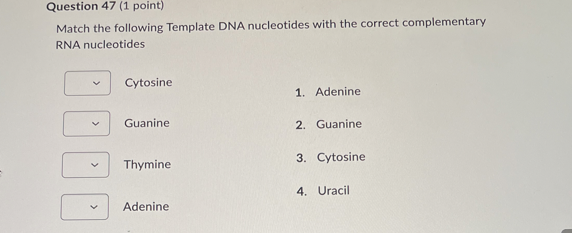 Solved Question 47 (1 ﻿point)Match the following Template | Chegg.com