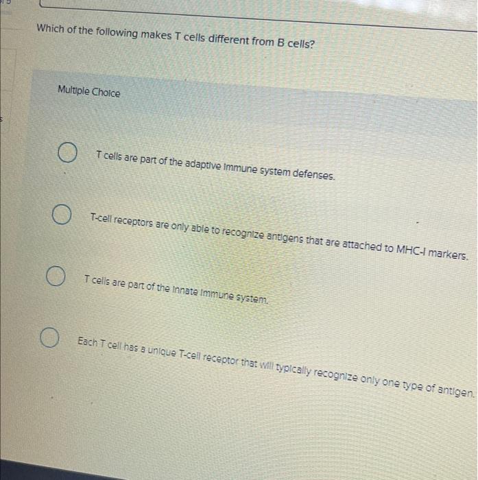 Solved Which of the following makes T cells different from B | Chegg.com