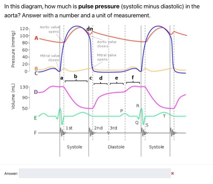 Solved In this diagram, how much is pulse pressure (systolic | Chegg.com