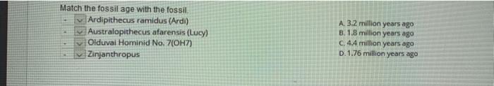 Solved Match The Fossilage With The Fossil Ardipithecus