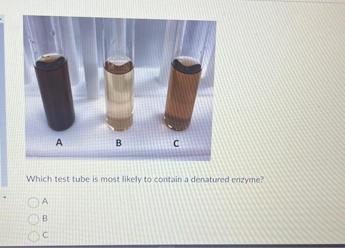 Solved Which test tube is most likely to contain a denatured | Chegg.com