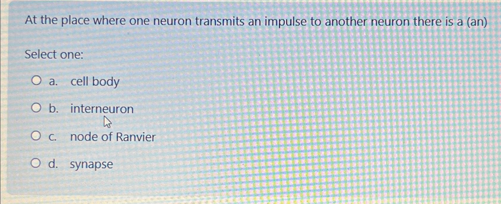 Solved At the place where one neuron transmits an impulse to | Chegg.com
