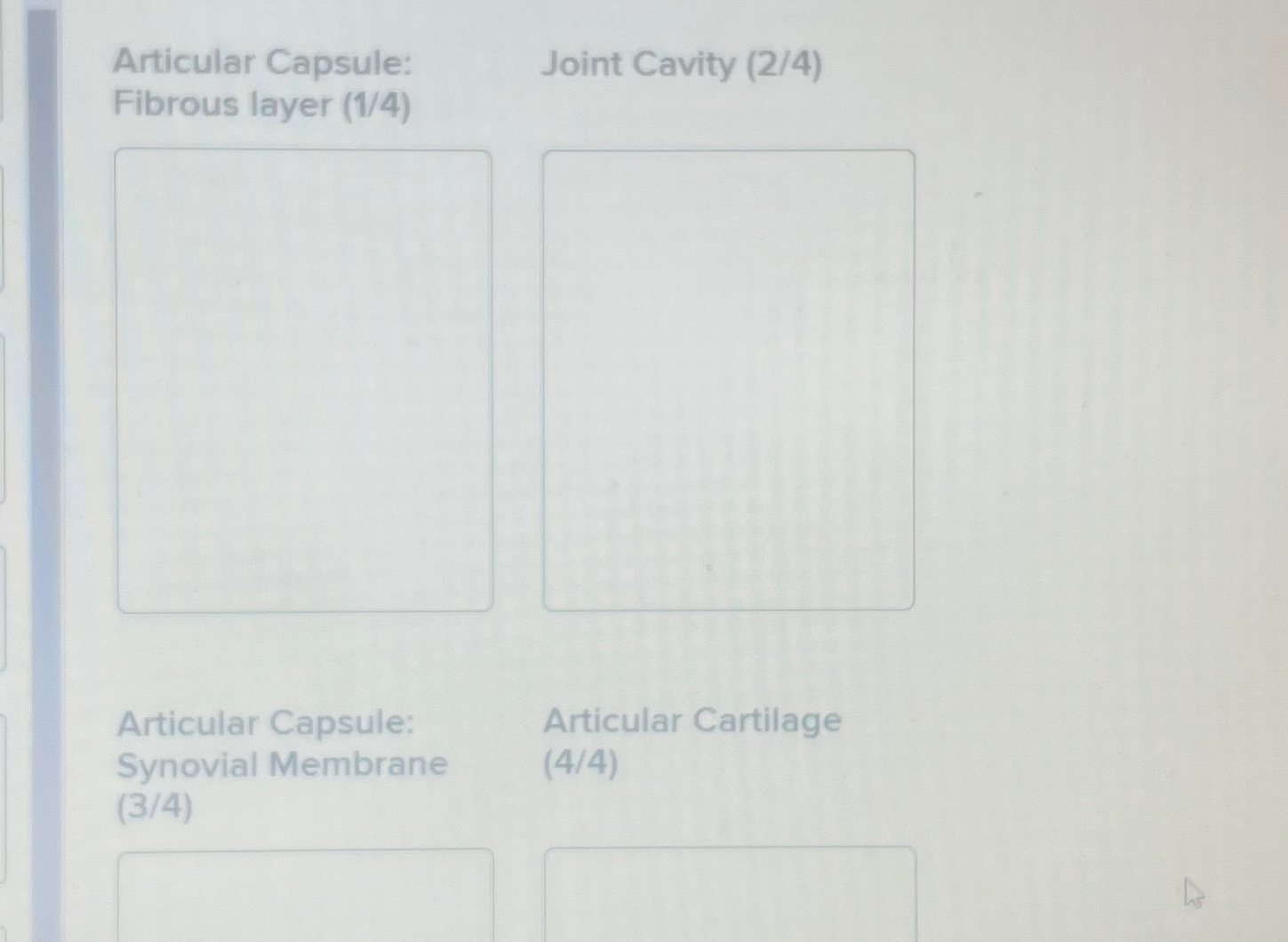 Solved Articular Capsule:Joint Cavity (2/4)Fibrous layer | Chegg.com
